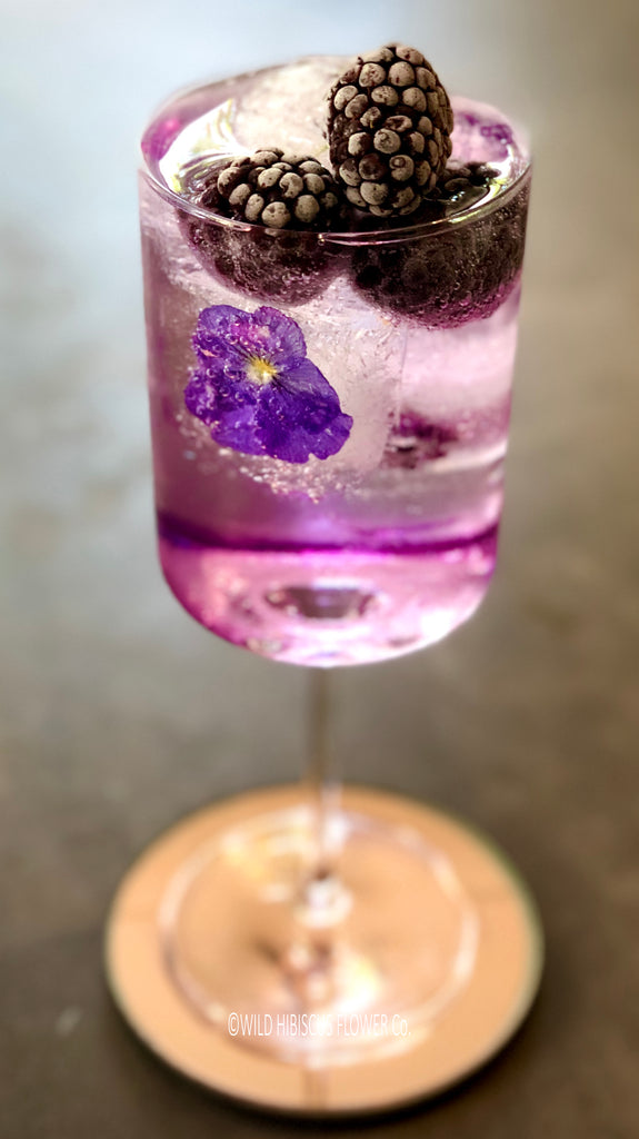 butterfly pea flower coloring page